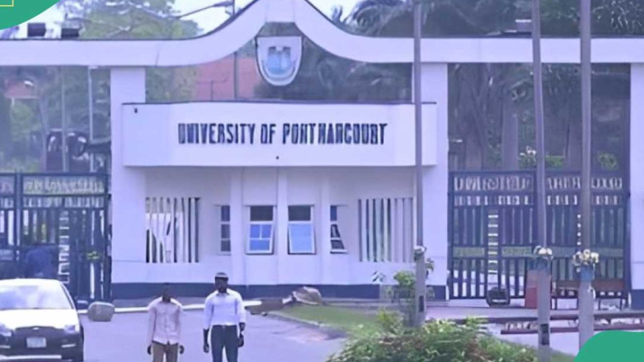 Uniport Cut Off Mark 2025/2026 is Out for All Courses | Check Yours Now
